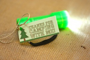 Awesome Ideas For A Camping Birthday Party - I Can Teach My Child!