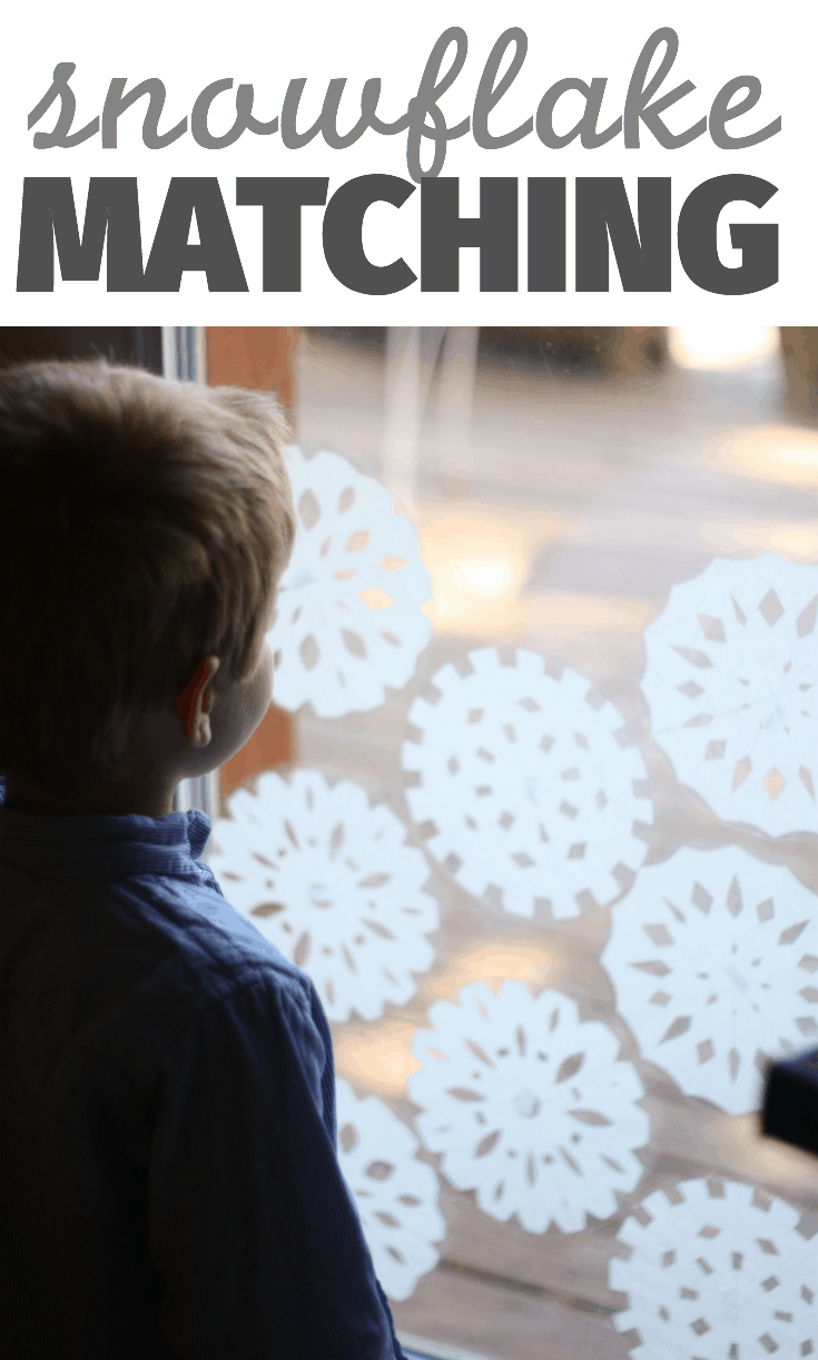 Snowflake Matching - I Can Teach My Child!