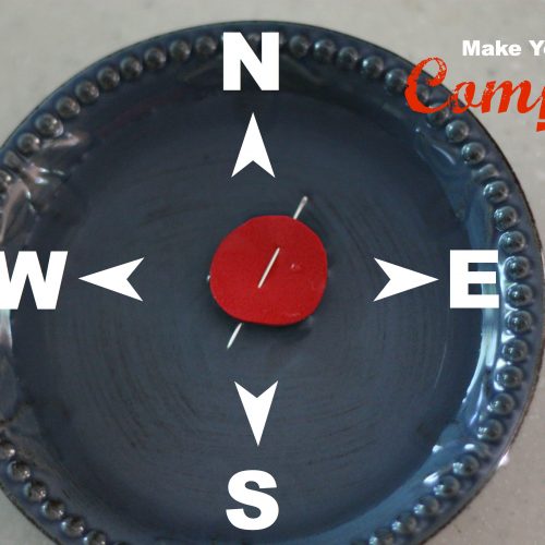 How To Make A Lava Lamp: Oil and Water Experiment