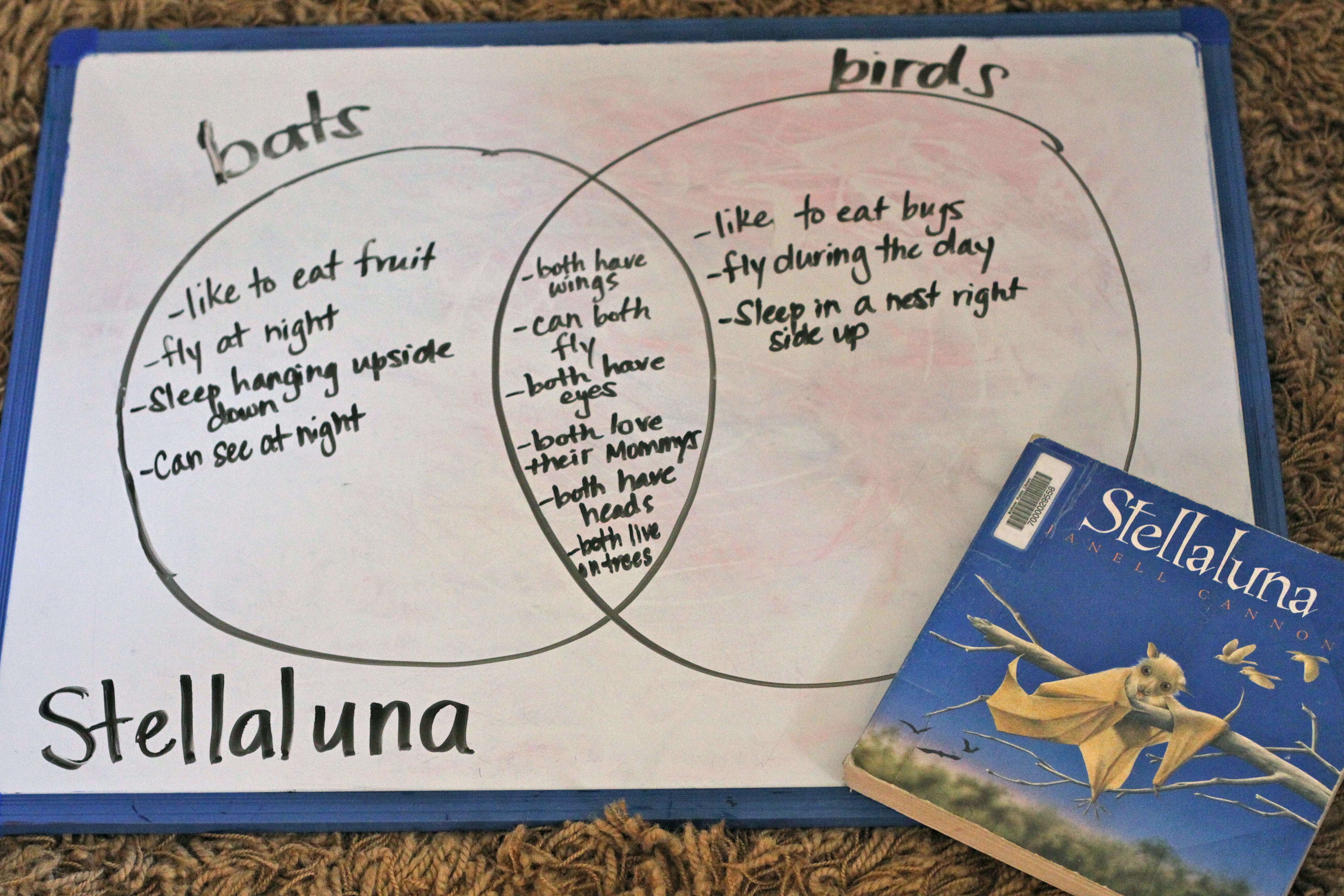 "Stellaluna" Activity & Craft - I Can Teach My Child!