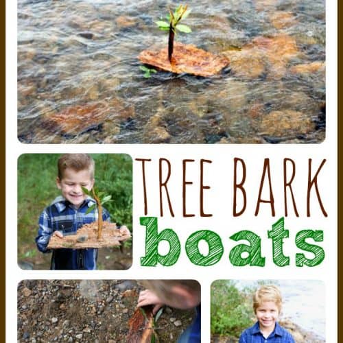 Outdoor Tree Bark Rubbings - I Can Teach My Child!