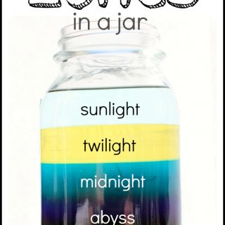 Ocean and Beaches Thematic Unit Archives - I Can Teach My Child!