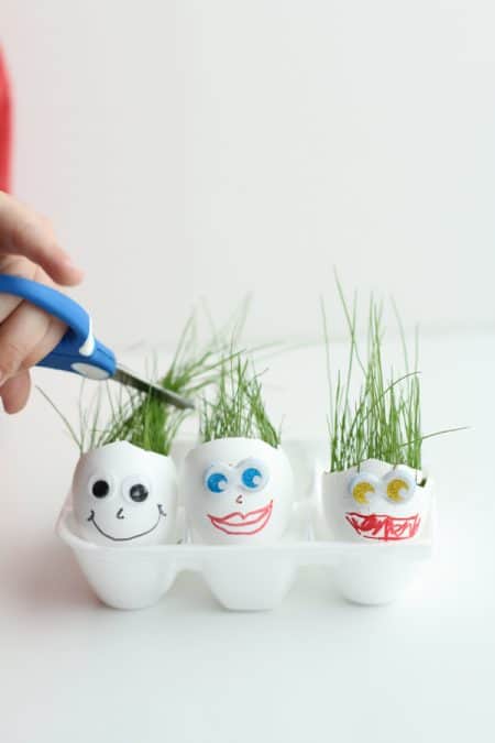 Egg Heads Activity from "The Garden Classroom" Book - I Can Teach My Child!