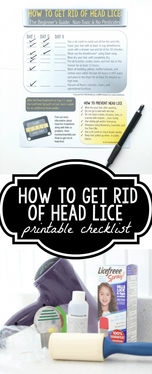 How to Get Rid of Head Lice - I Can Teach My Child!