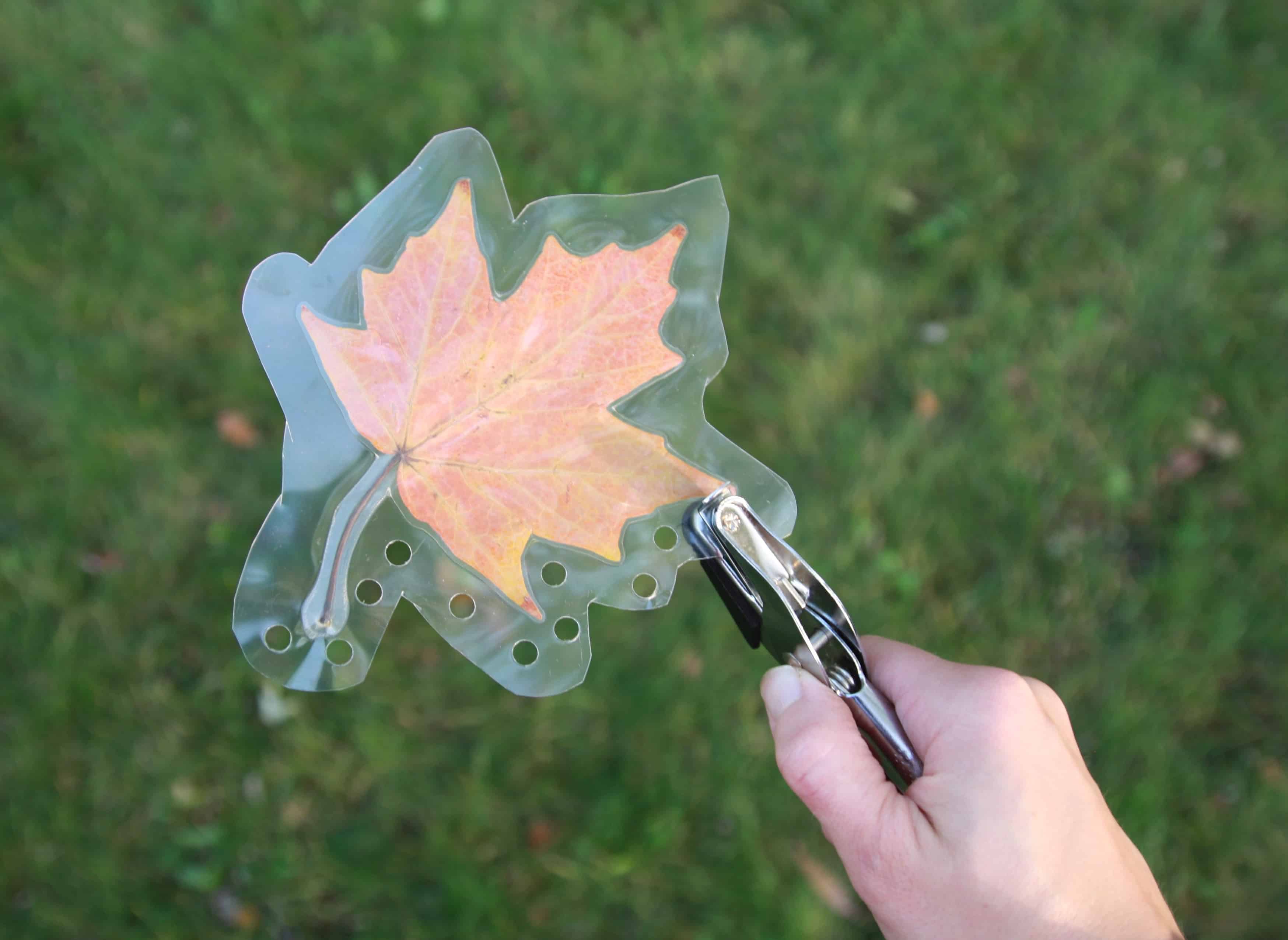 Toddler Leaf Lacing - I Can Teach My Child!