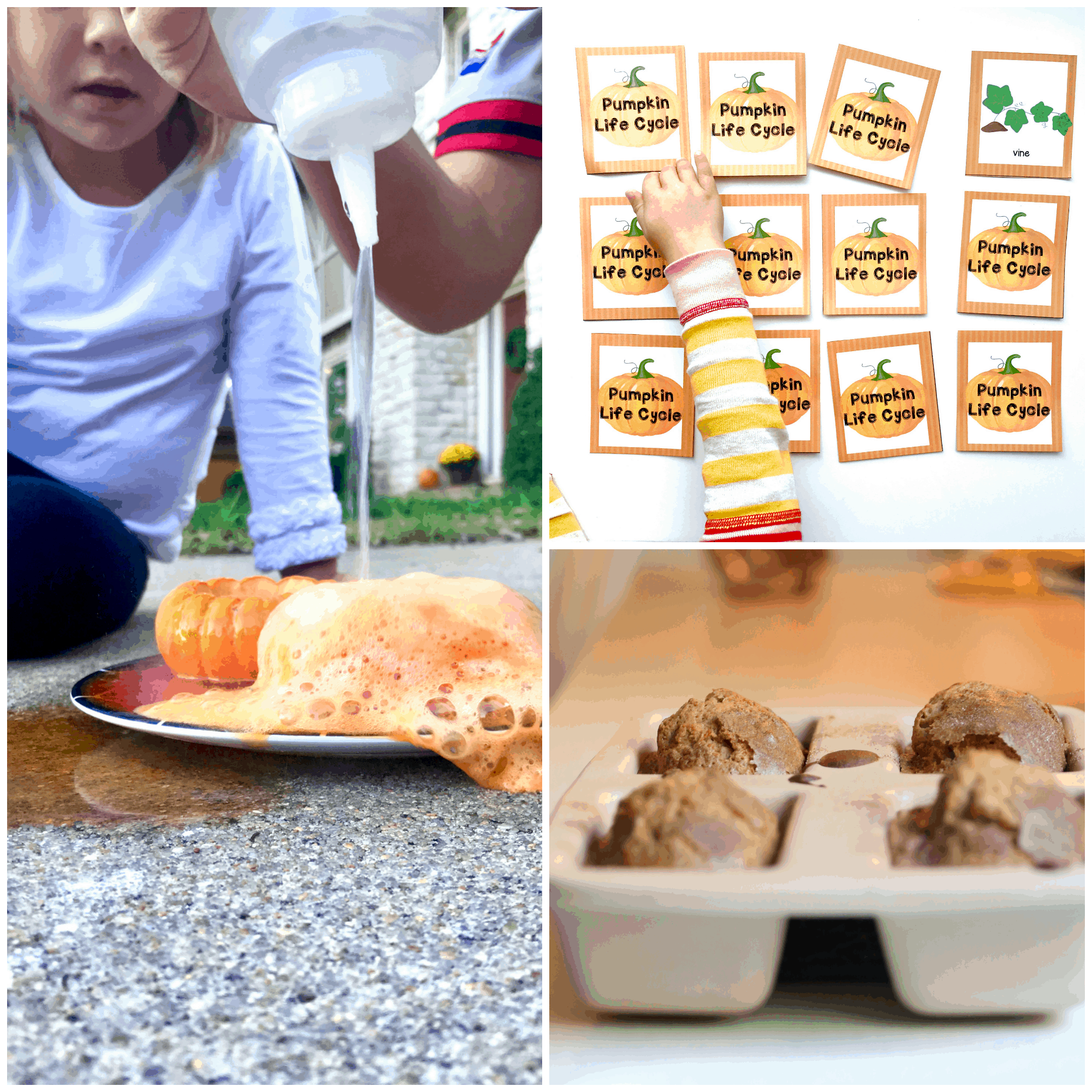 31 Days of Pumpkin Activities - I Can Teach My Child!