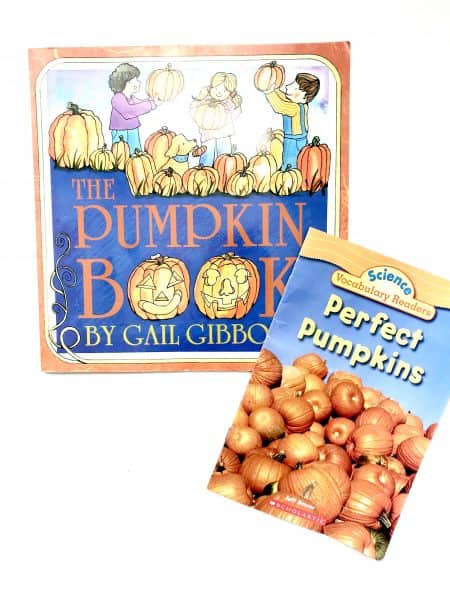 Pumpkin Life Cycle Printable Memory Game - I Can Teach My Child!