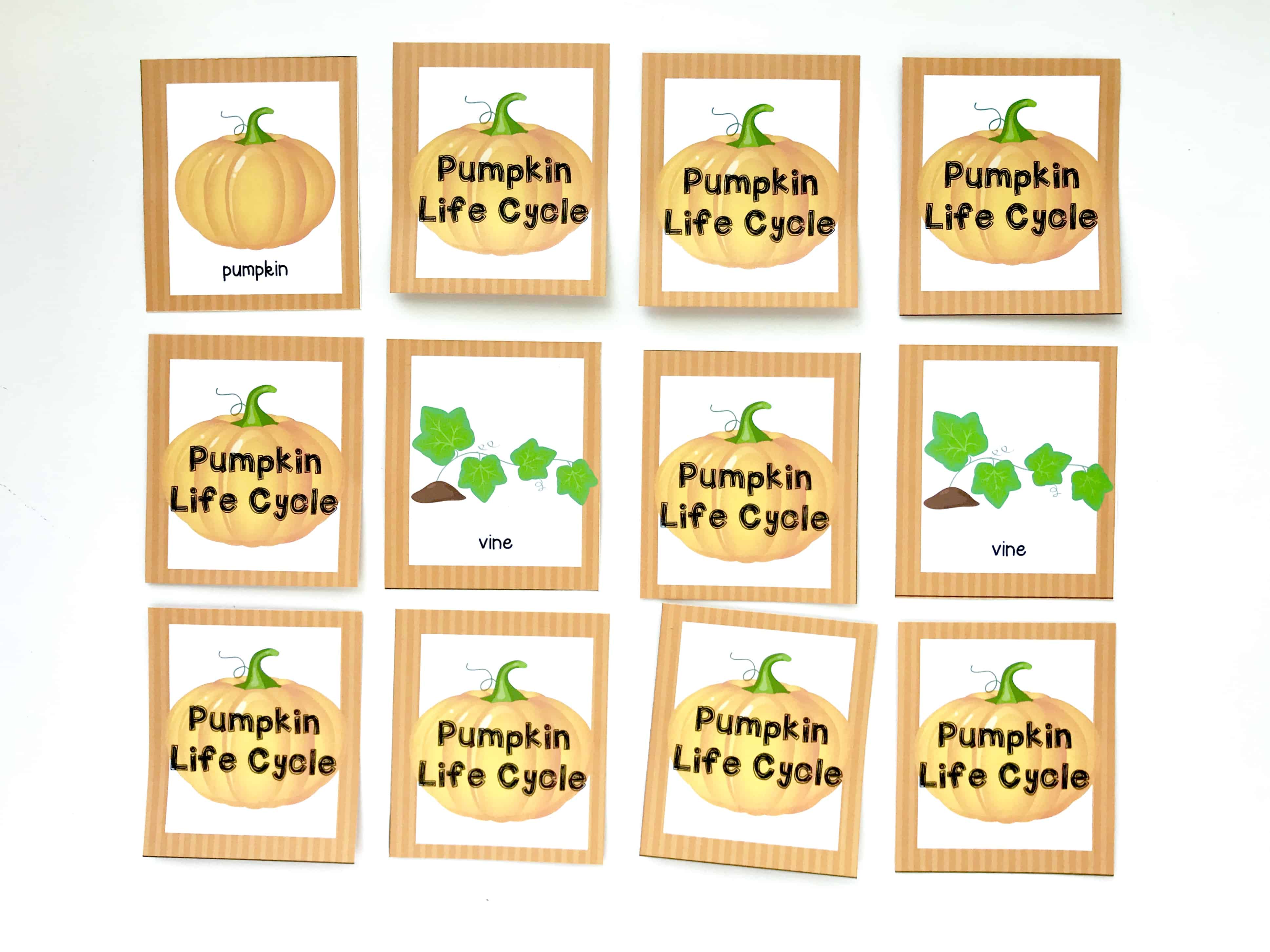 Pumpkin Life Cycle Printable Memory Game - I Can Teach My Child!
