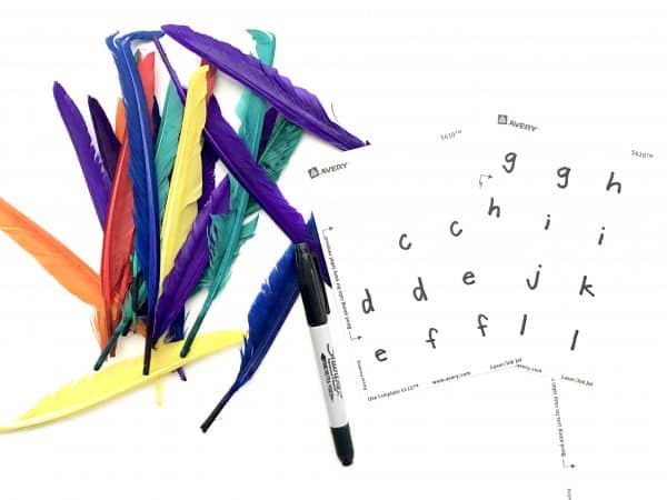 Thanksgiving Alphabet Feather Match - I Can Teach My Child!