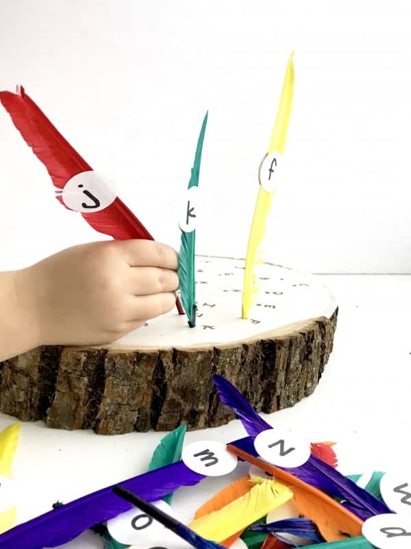 Thanksgiving Alphabet Feather Match - I Can Teach My Child!