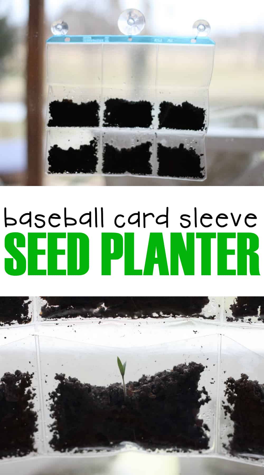 Baseball Card Sleeve Seed Planter - I Can Teach My Child!